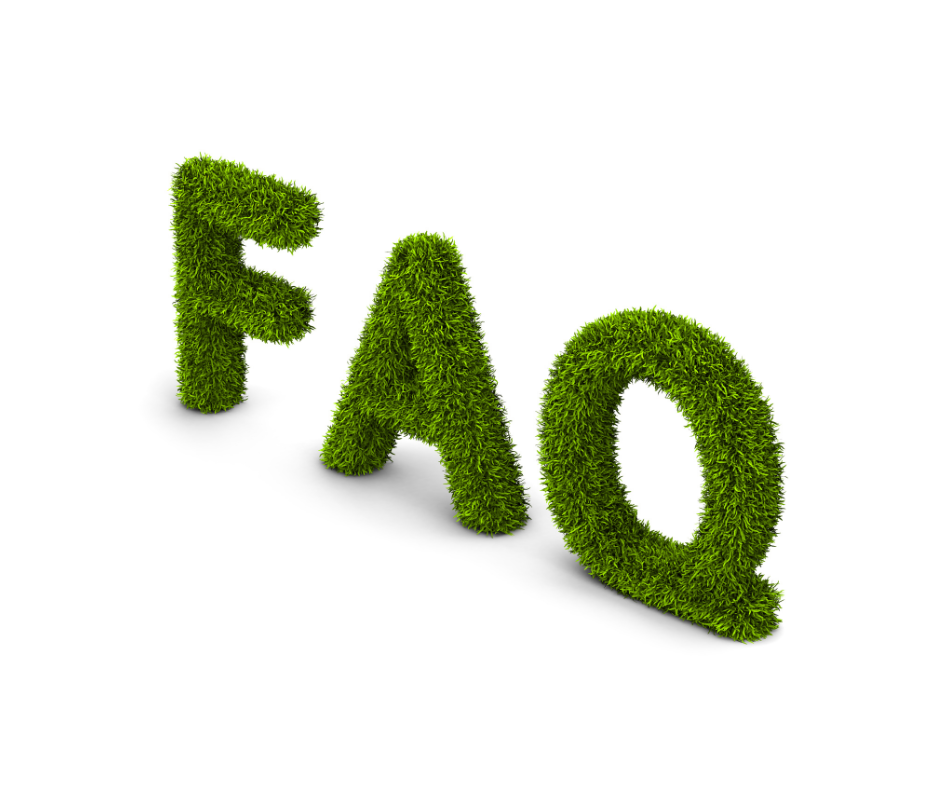 Daisy & Mabel Organics | Clean Hair and Skin Products